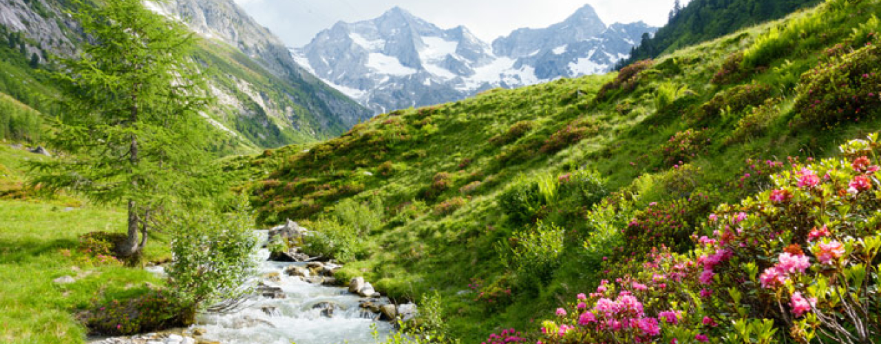 Hotel Fulpmes: Mit alltours im Stubaital nächtigen