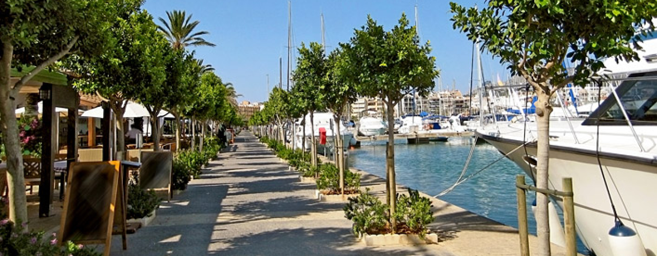 Port de Alcudia: Mit alltours in den Norden von Mallorca